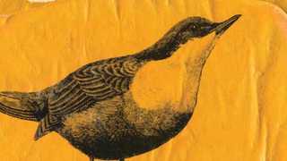 Interference & Iridescent Colors | Golden Artist Colors